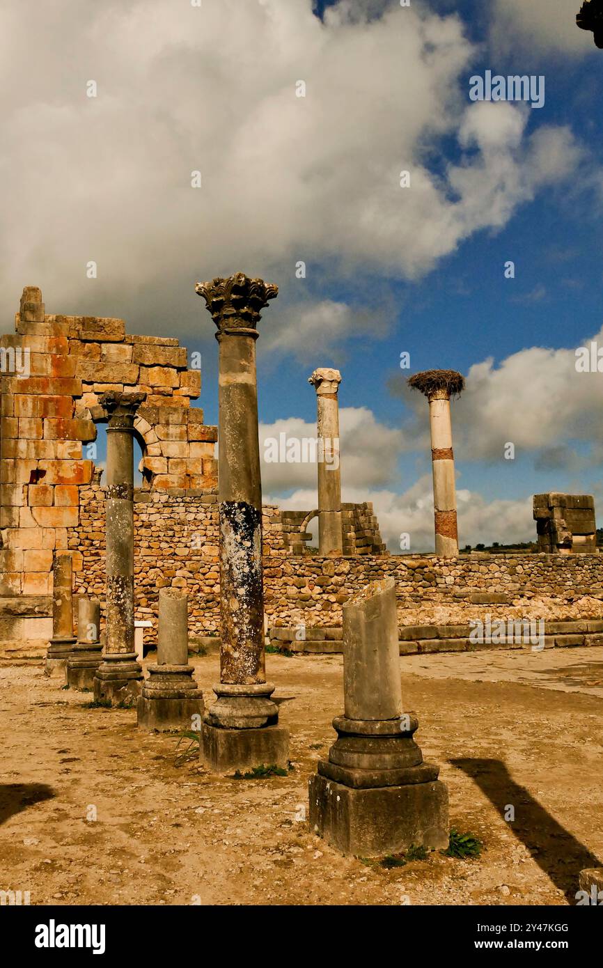 Volubilis, archaeological site, Roman, Mount Zerhoun, imperial city ...