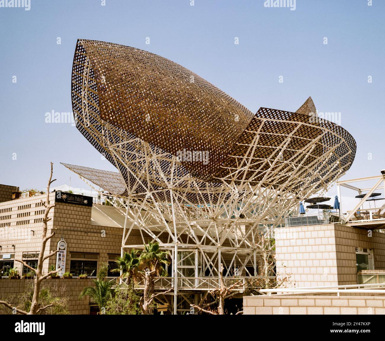Frank Gehry's Peix Fish Sculpture, Barcelona, Spain, Europe Stock Photo ...