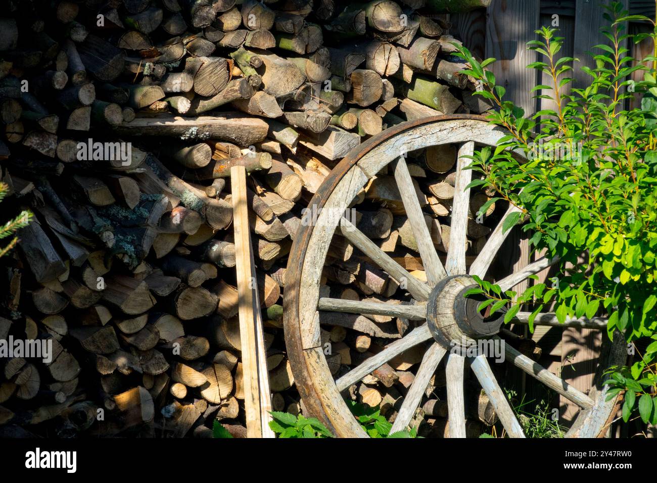 Garden Scene Chopped Timber Storage Firewood Pile Wood, Stack Stacked ...