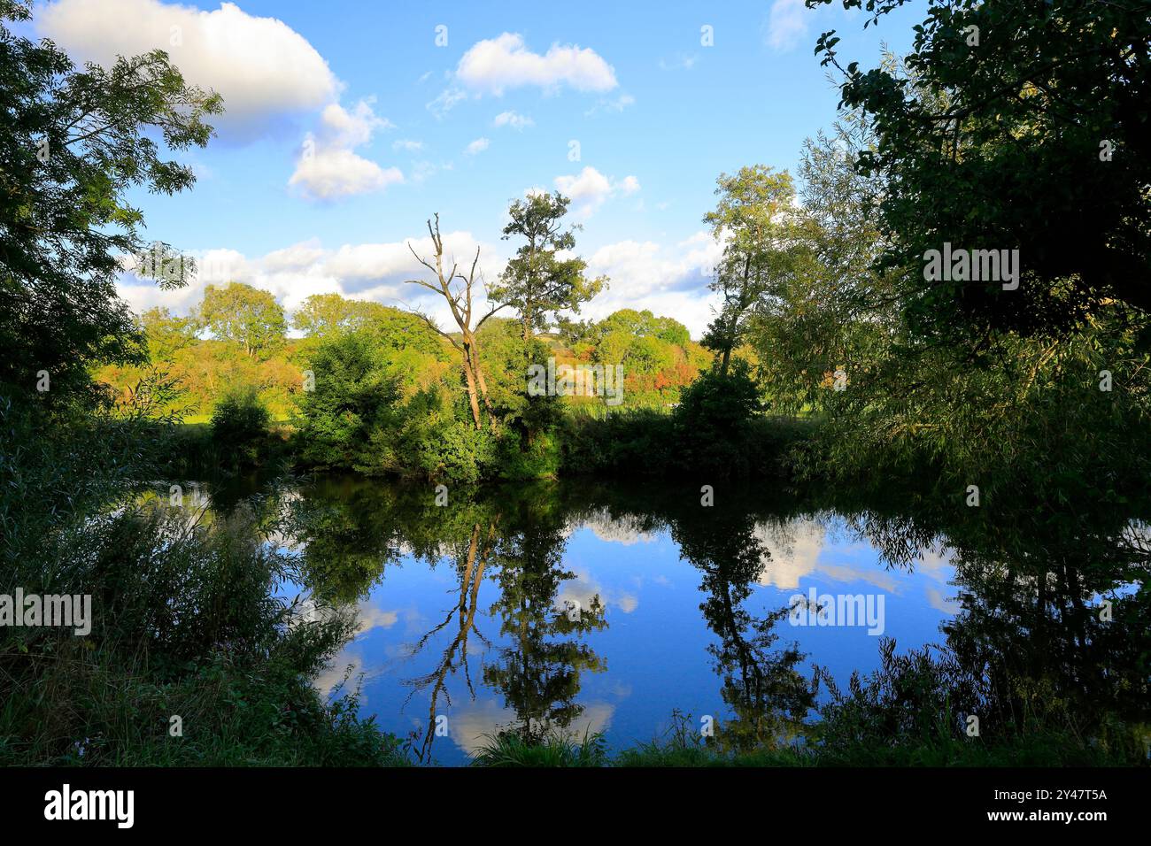 The River Avon and reflections through trees at the Shallows, Saltford ...