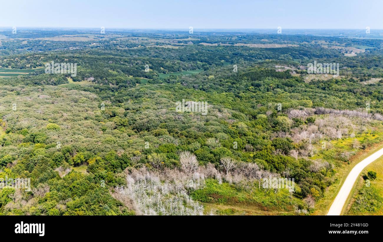 Aerial photograph of the Loess Hills State Forest from the Loess Hills ...
