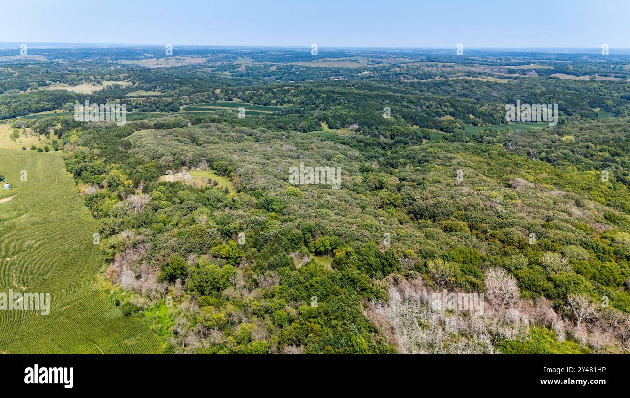 Aerial photograph of the Loess Hills State Forest from the Loess Hills ...
