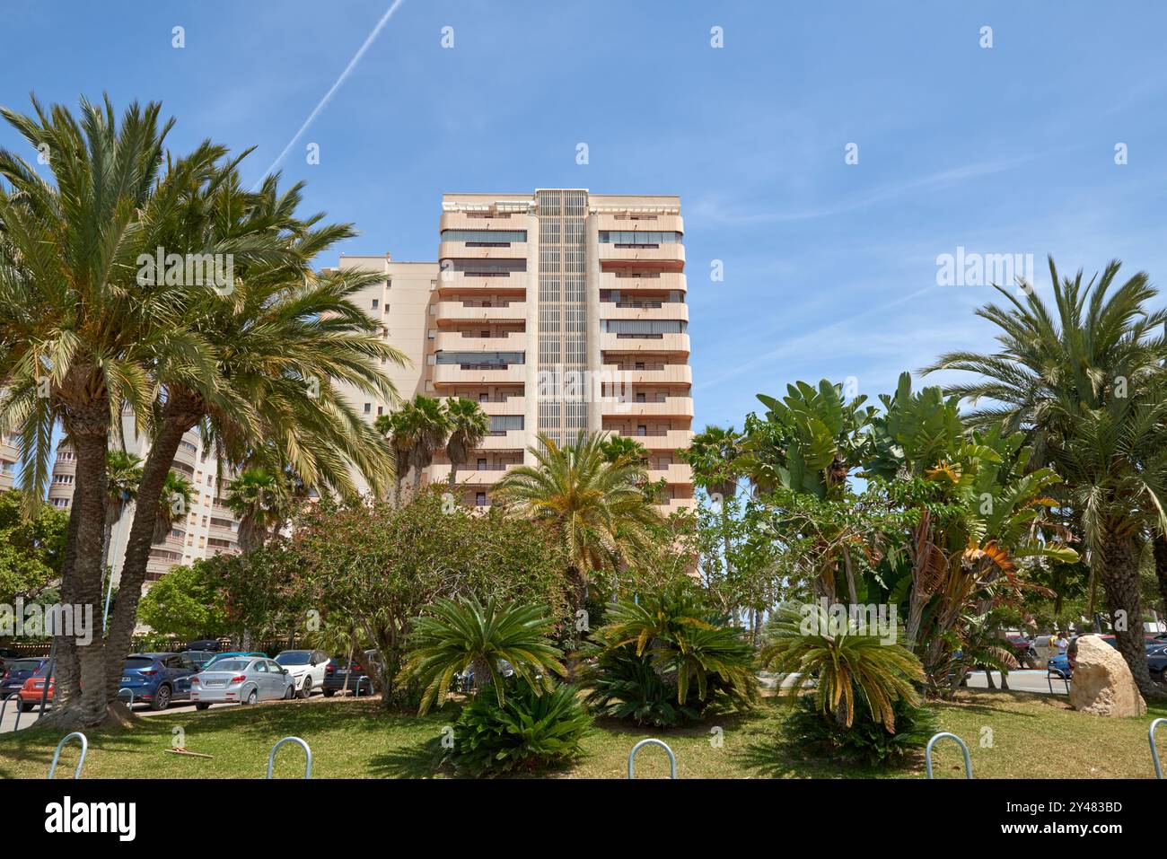 Spectacular Spanish Skyline: Towering High-Rises and Swaying Palm Trees ...