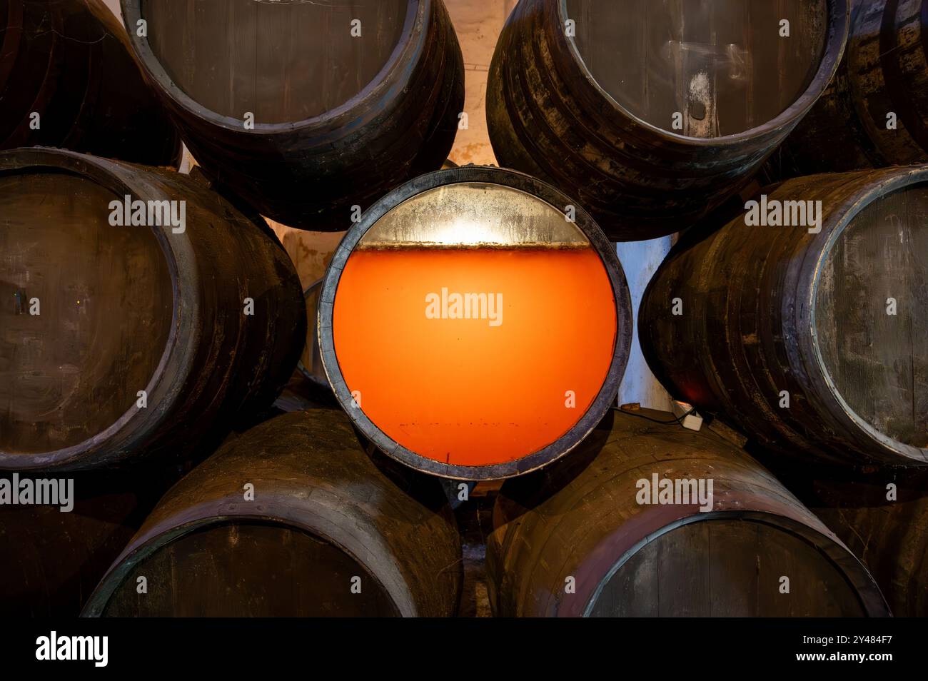 Flor, film of yeast in solera systems in old Andalusian wine cellar ...