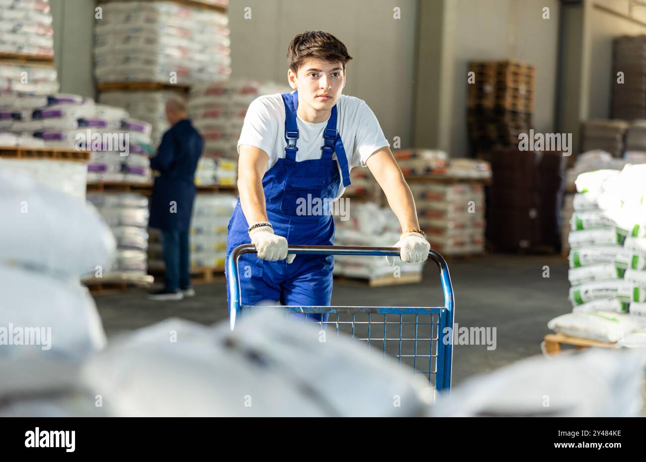 Guy worker carries pushes cart trolley for cargo transportation Stock ...