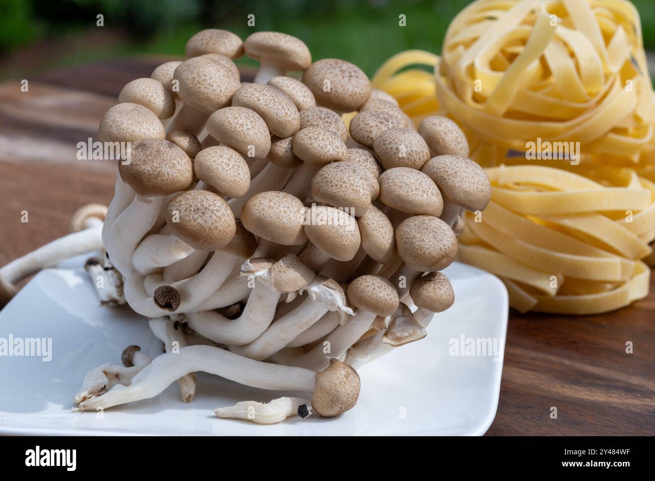 Making tagliatelle pasta with brown shimeji edible mushrooms, buna ...