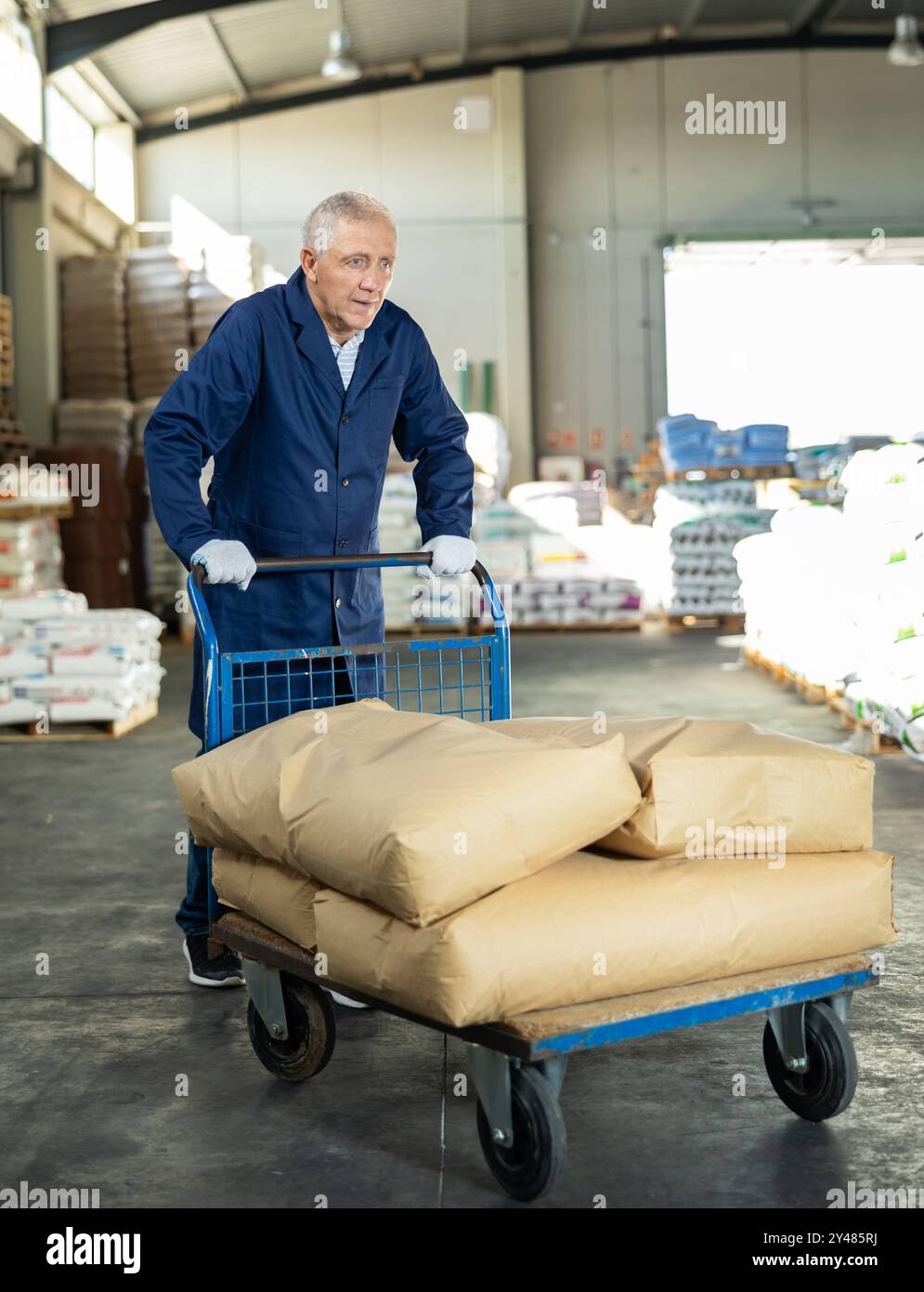 In warehouse rack area of store, loader mature man pushes and carries ...