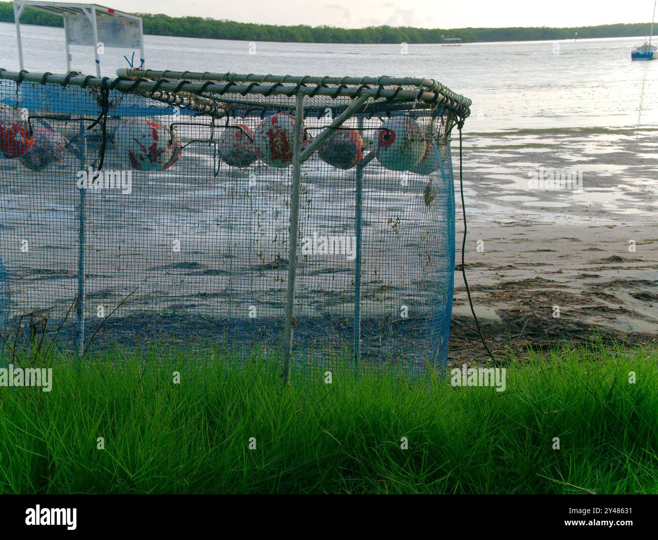 Close view out over green grass to Crab Fishing cage with trap ball ...