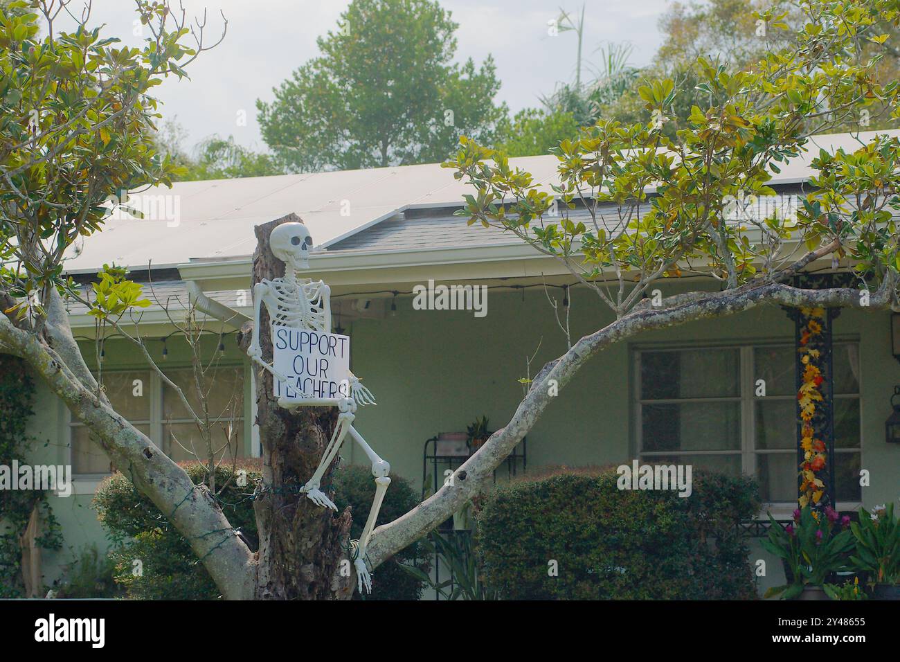 Wide view of a Skeleton sitting in a tree with a sign Support Our ...