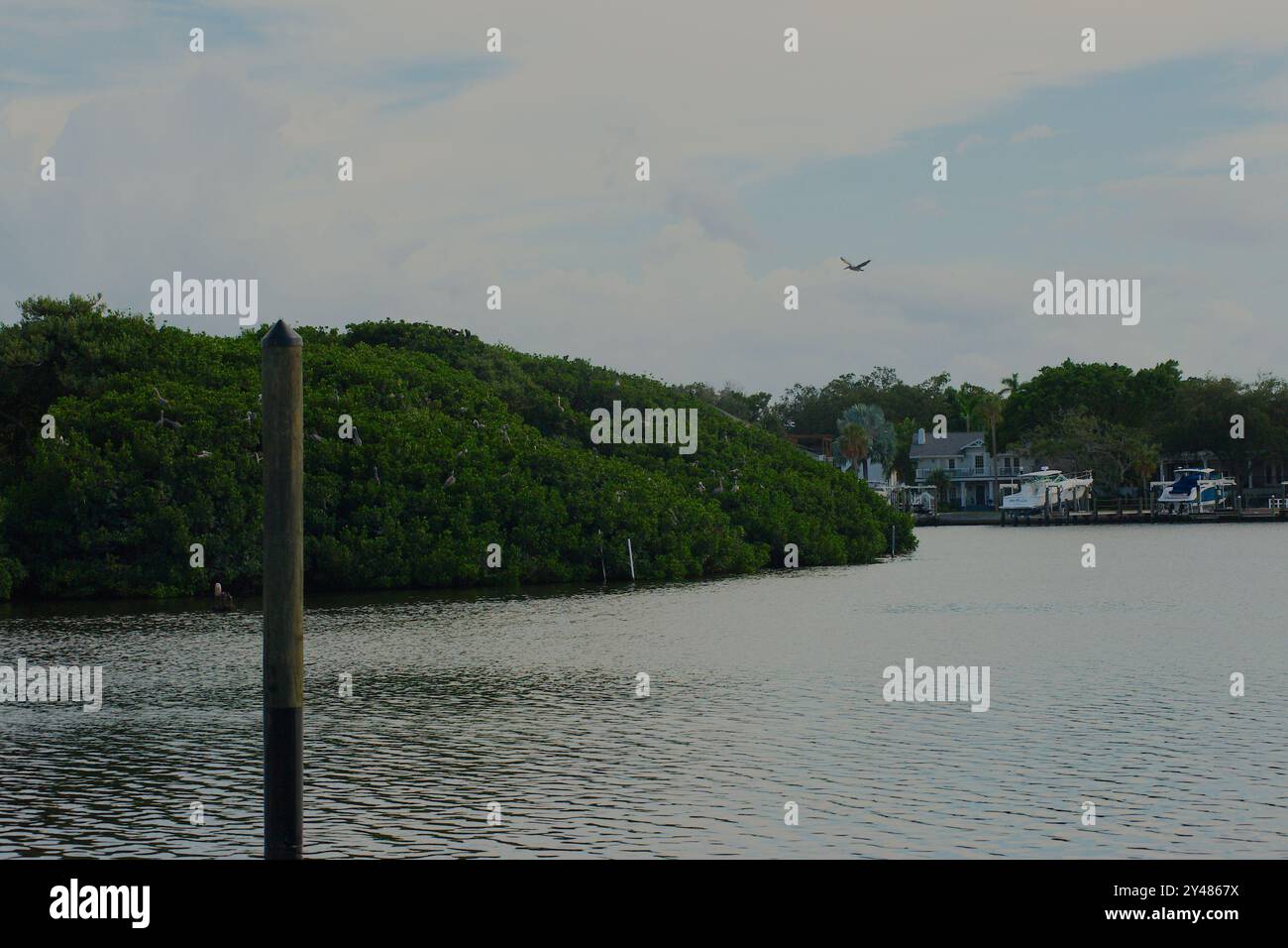Wide view over water to Coffee Pot Bayou bird preserve a small island ...