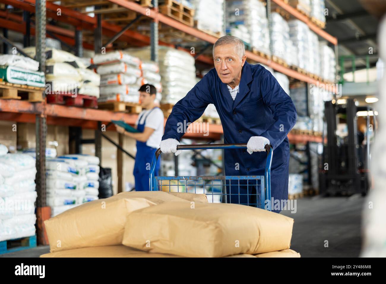 In warehouse rack area of store, loader mature man pushes and carries ...