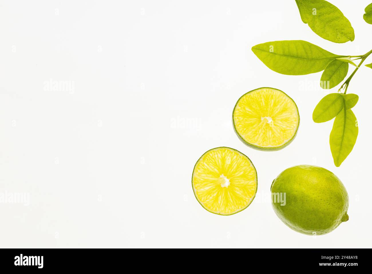 Lemon lime slice, citrus fruit - Citrus latifolia Stock Photo - Alamy