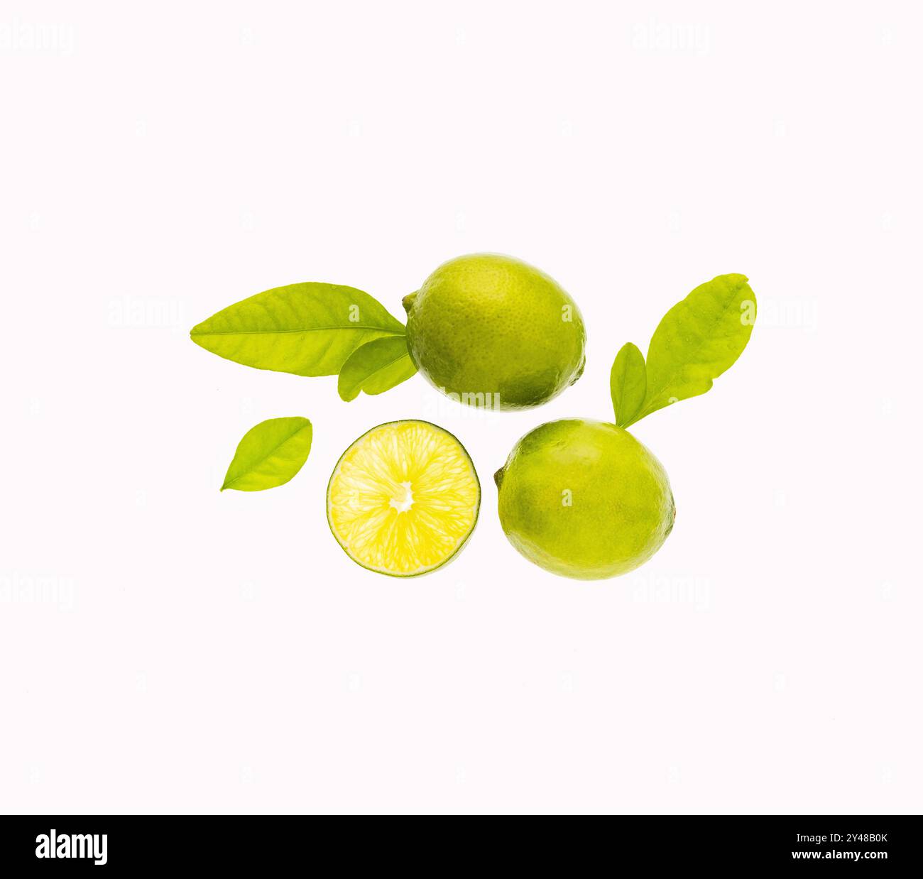 Lemon lime citrus fruit - Citrus latifolia slice Stock Photo - Alamy