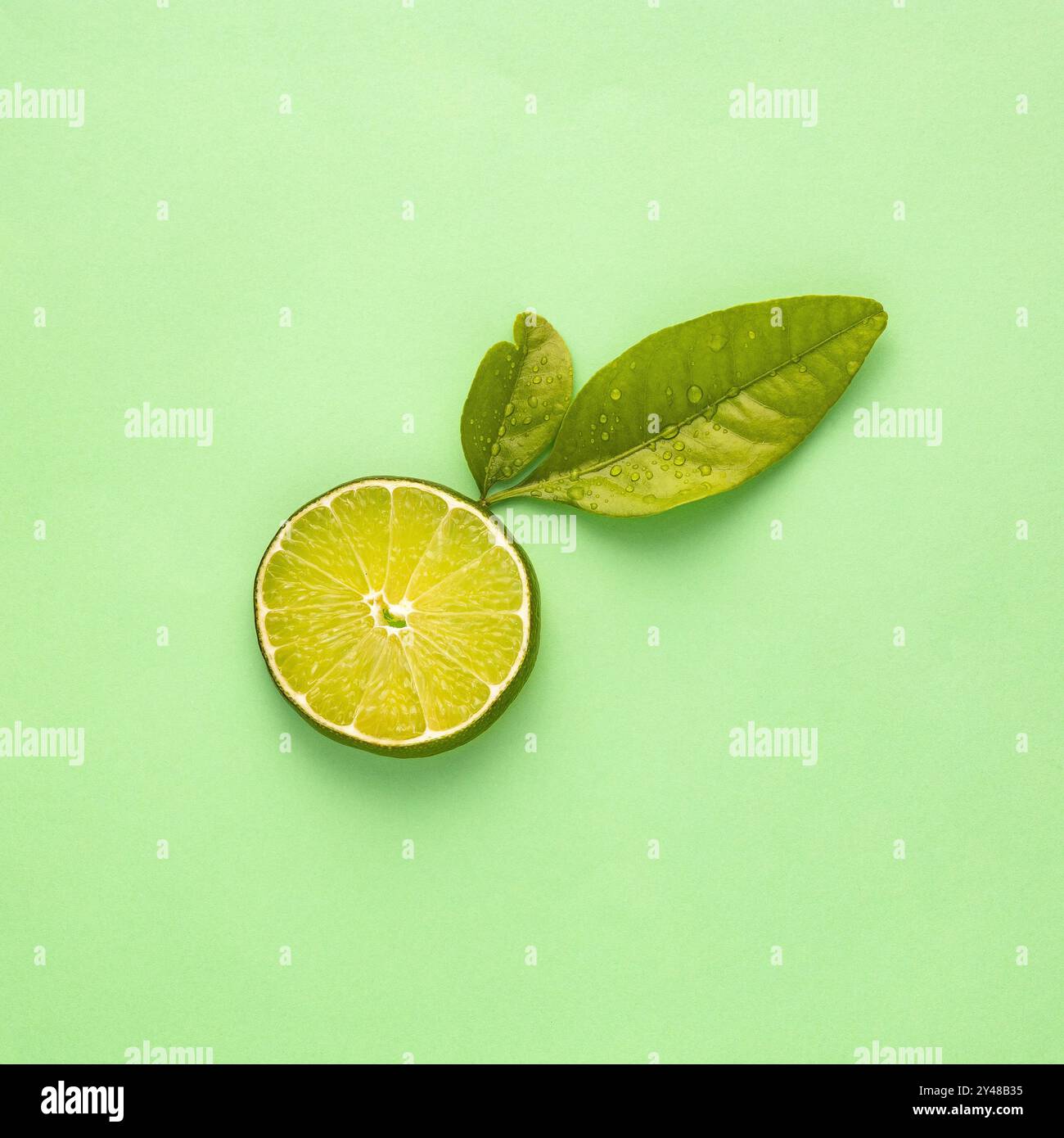 Lemon lime citrus fruit - Citrus latifolia slice Stock Photo - Alamy
