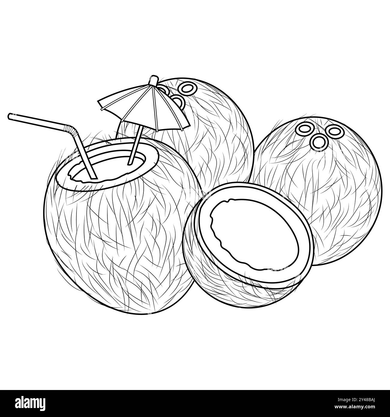 Coconut. Coconut hand-drawn illustration. Vector doodle cartoon ...
