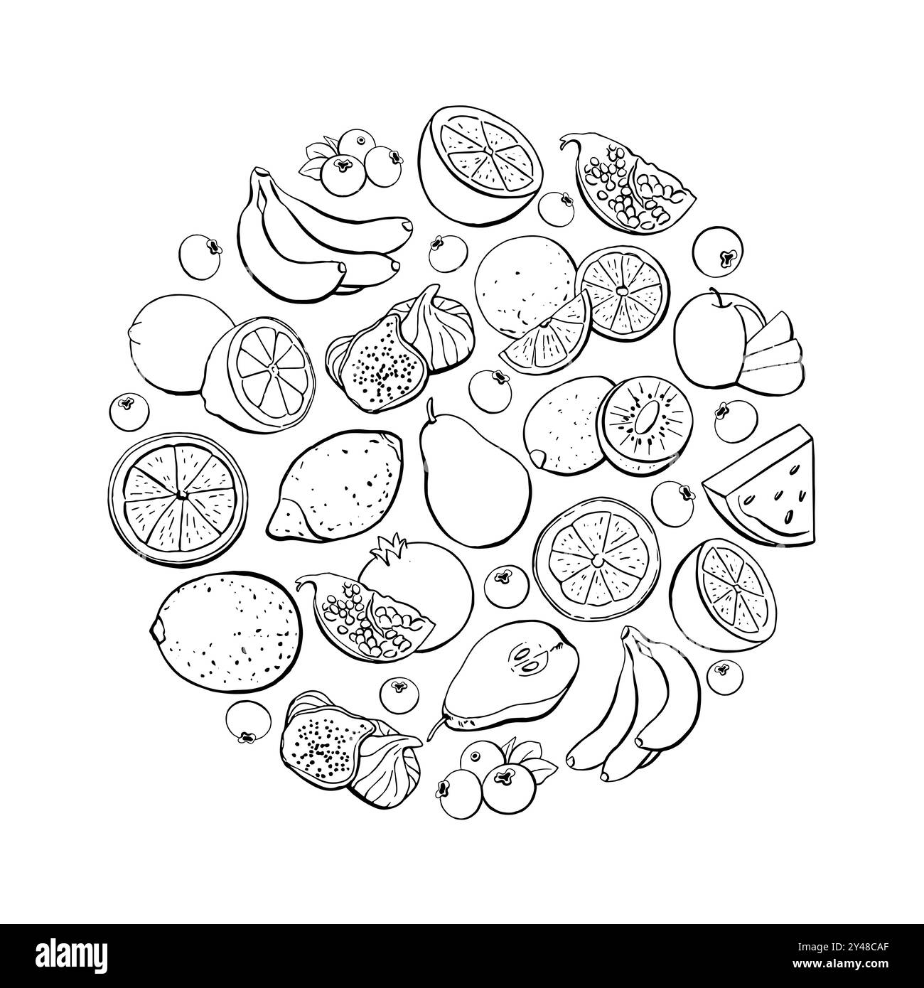 Fruit design element set isolated on white background. Black outline ...
