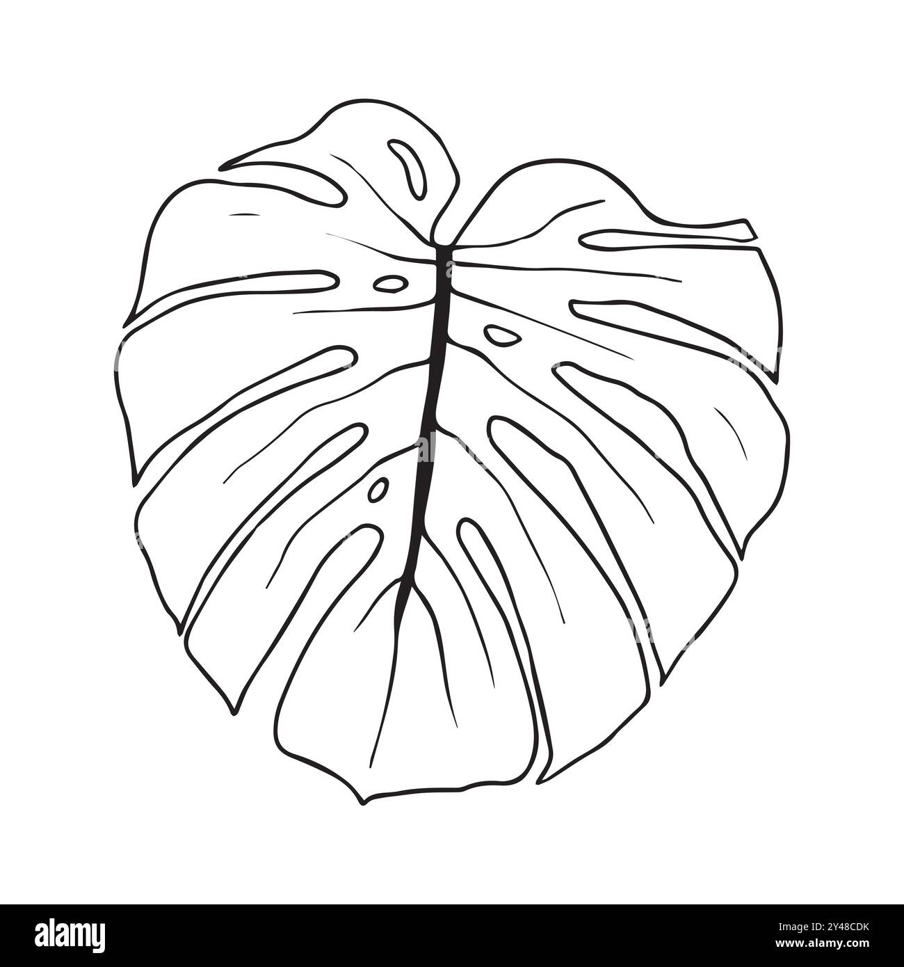 Black outline monstera sheet vector illustration. Isolated on a white ...