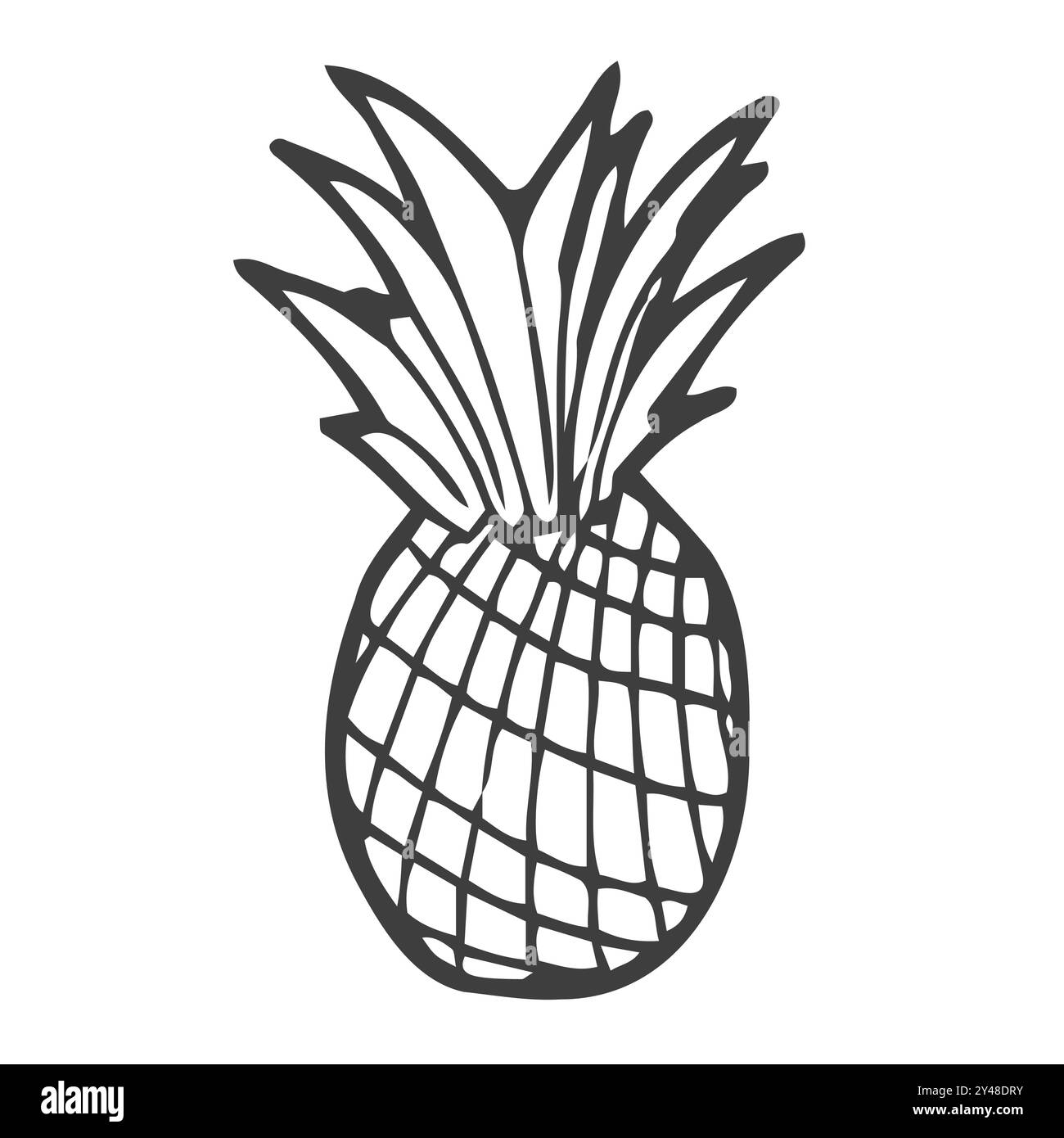 Pineapple hand drawing Isolated on a white background. Vector stock ...
