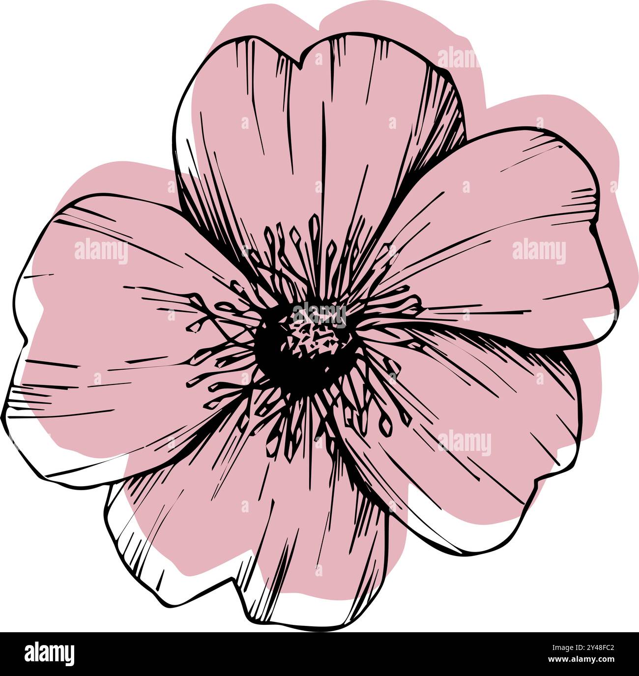 Rose hip, dog-rose. Wild rose flowers, medicinal herb line art drawing ...