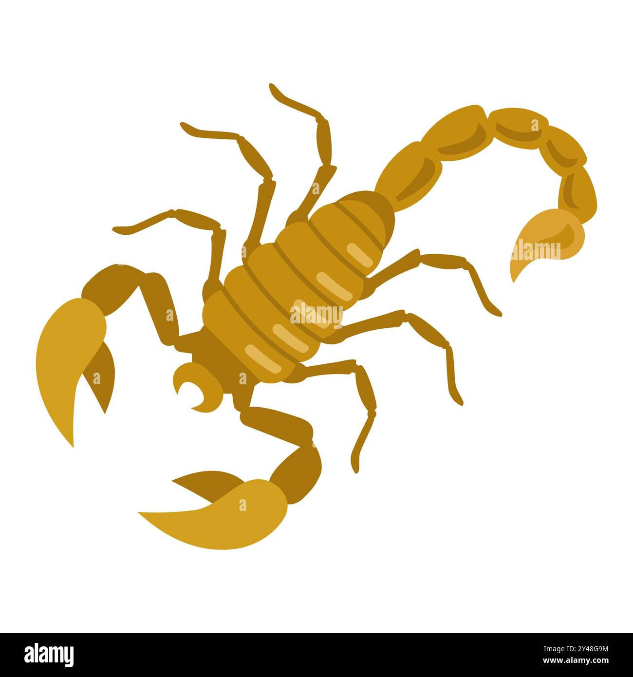 Brown scorpion on white background. Crustacean illustration Stock ...