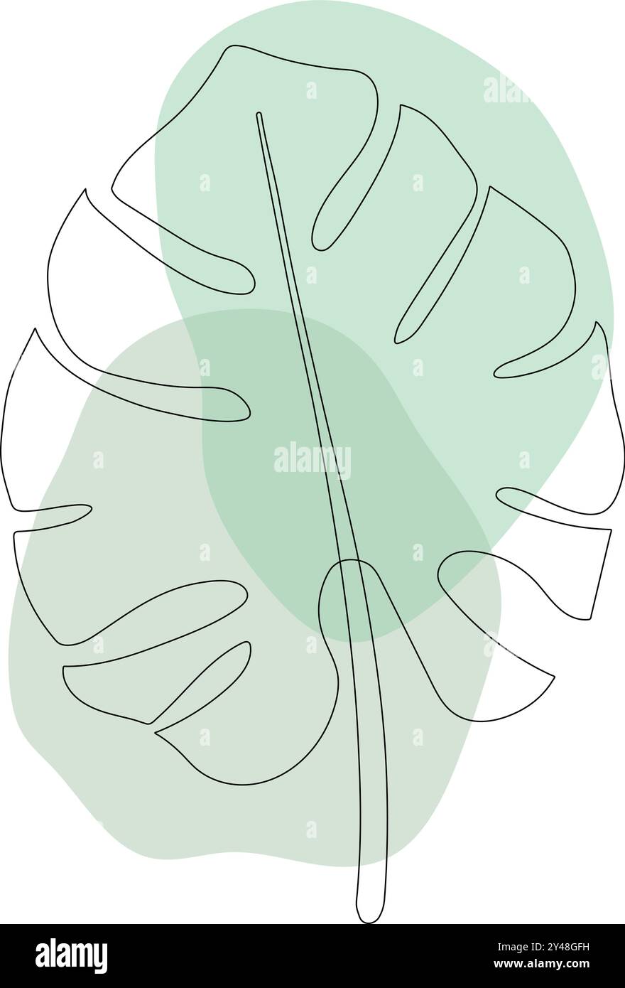 Monstera leaf. Abstract contemporary line art vector illustration Stock ...