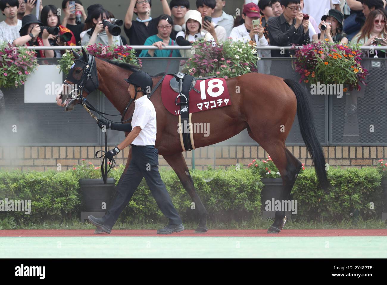 Mama cocha hi-res stock photography and images - Alamy