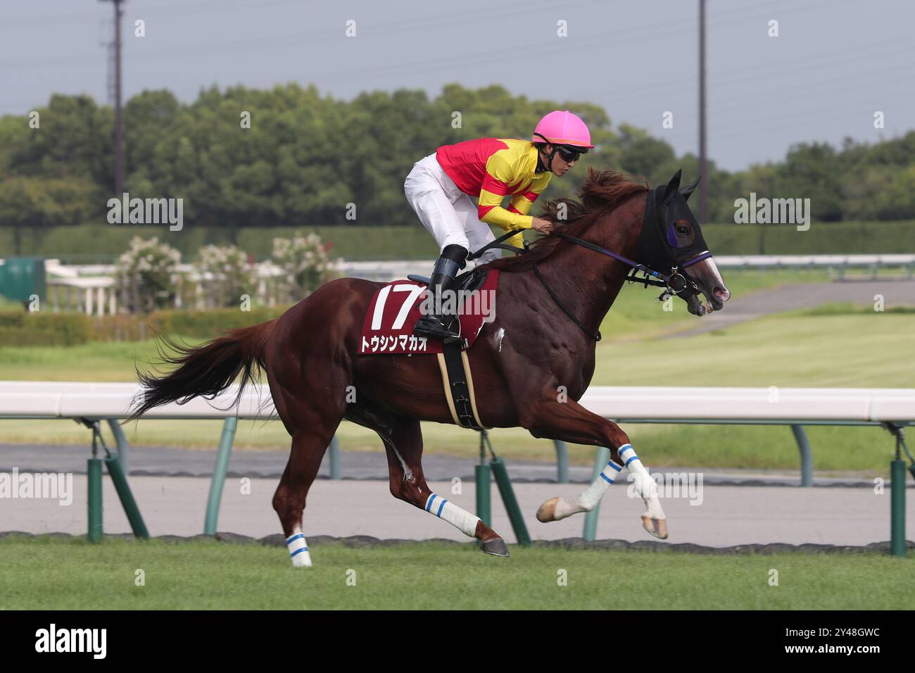 2024/09/08 CHUKYO 11R THE SANKEI SHO CENTAUR STAKES Toshin Macau/Akira ...