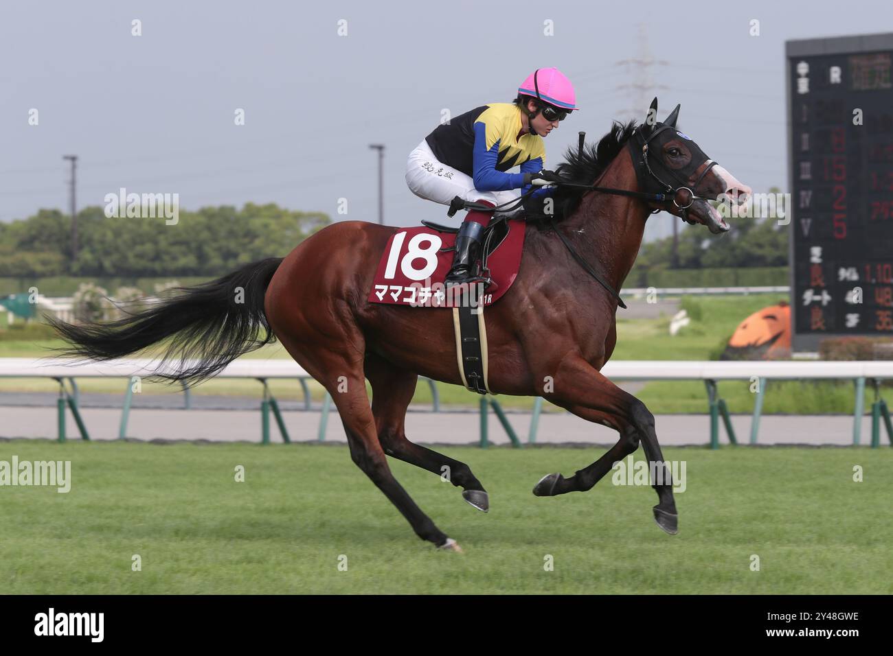 2024/09/08 CHUKYO 11R THE SANKEI SHO CENTAUR STAKES Mama Cocha/Katsuma ...