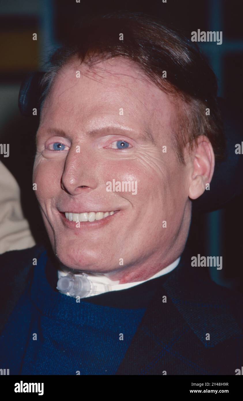 Christopher Reeve attends the 5th Annual Riverkeeper benefit at Pier ...