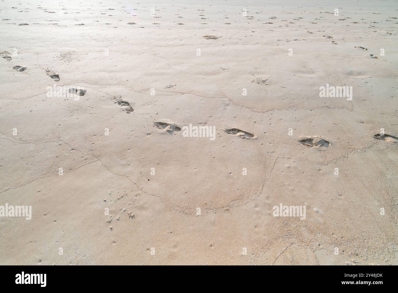 Detail of Sand texture background, Footprint on sandy beach Stock Photo ...