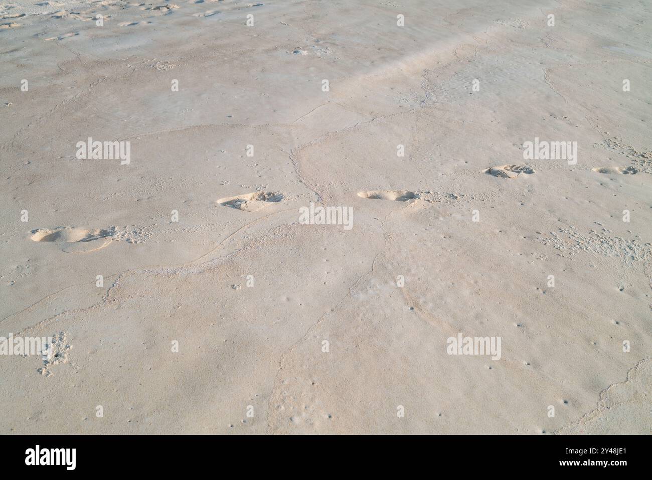 Detail of Sand texture background, Footprint on sandy beach Stock Photo ...