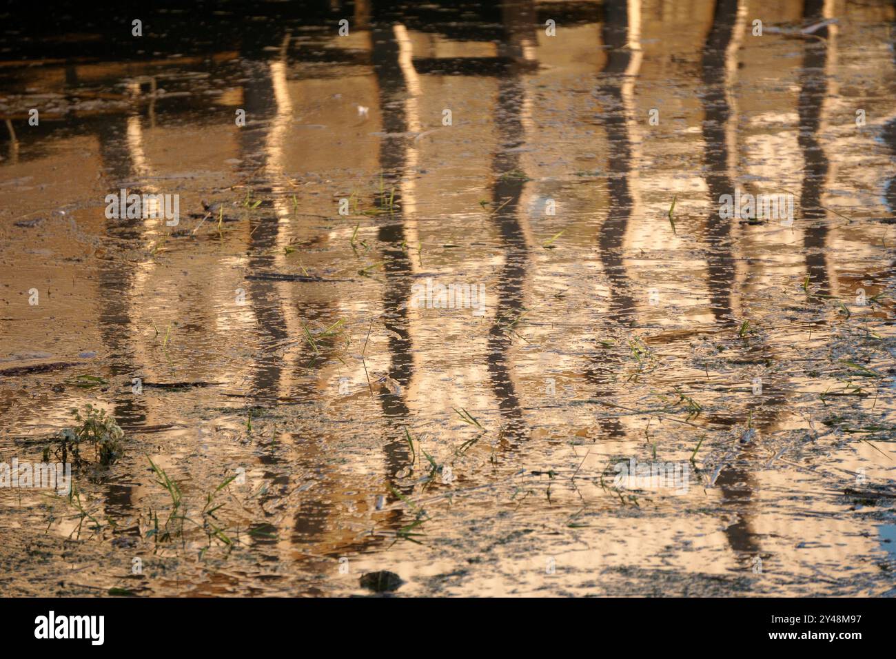 Wavy reflections in water of pylons beneath a pier Stock Photo - Alamy
