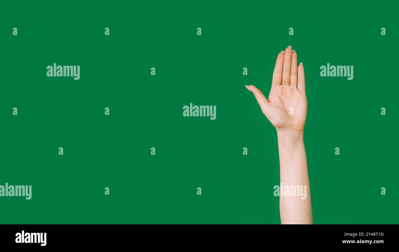 Hand palm. Hello gesture. Welcome hi. Meeting acquaintance. Female ...