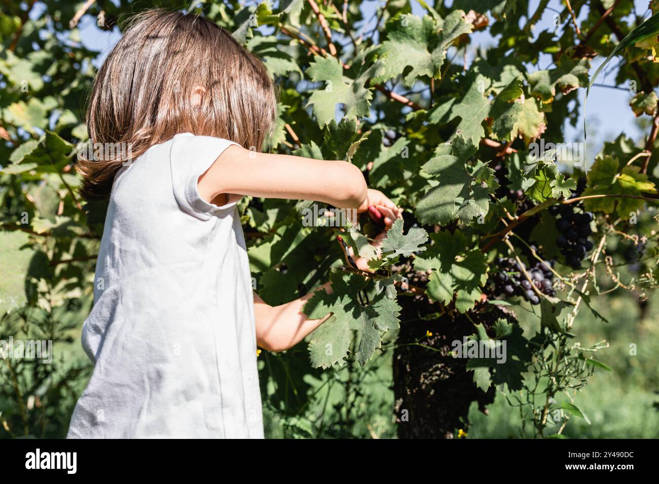 Busy day rear view hi-res stock photography and images - Alamy