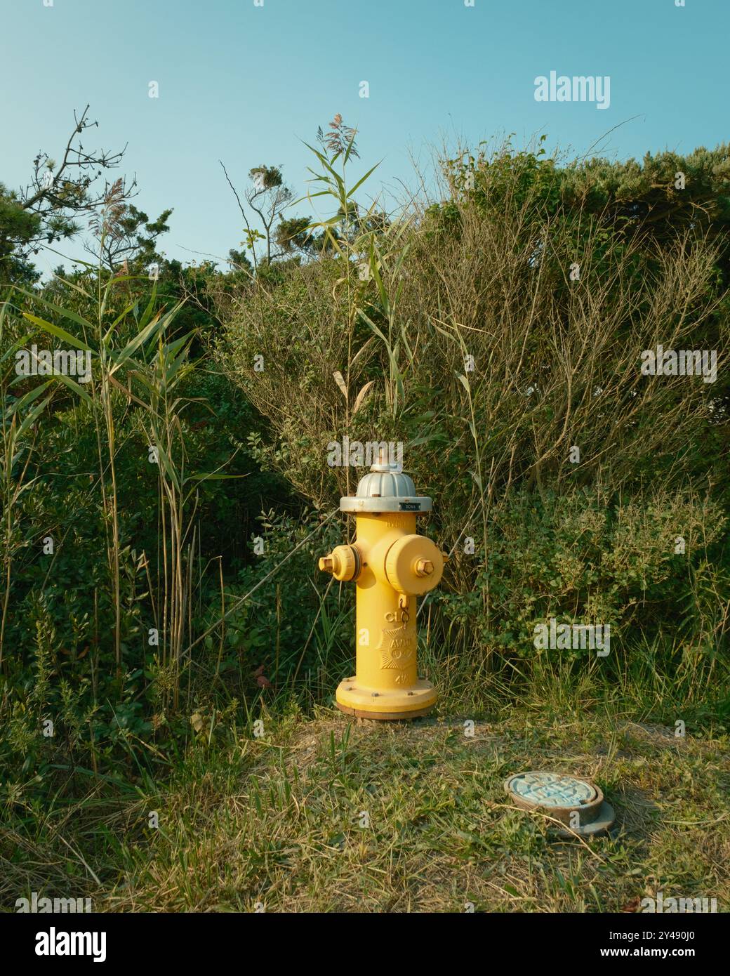 A fire hydrant on Fire Island, New York Stock Photo - Alamy