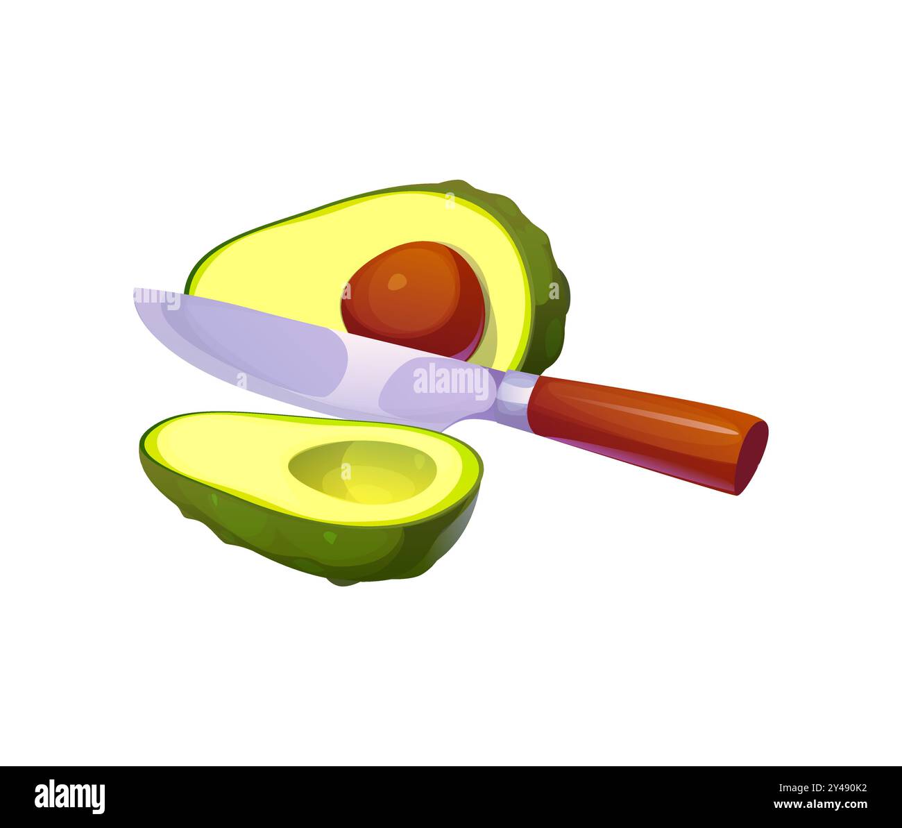 Avocado pit cut in half Stock Vector Images - Alamy