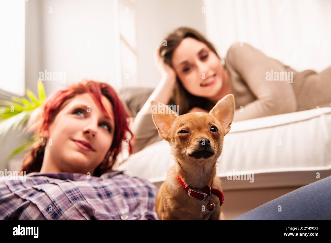 The humorous expression of a small puppy captivates two women, their ...