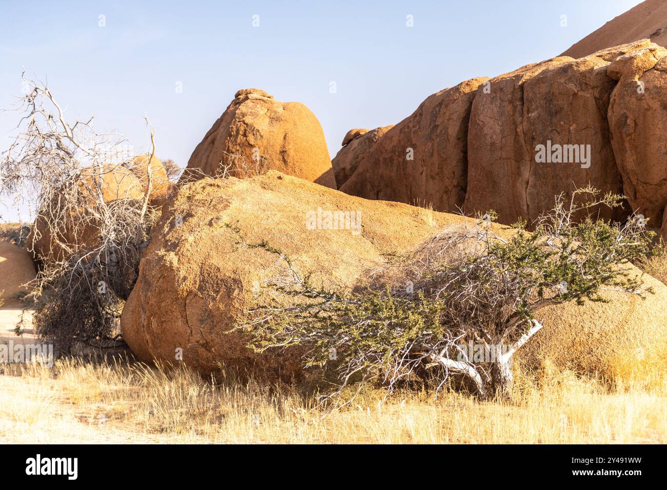 A relatively green desert landscape near Spitzkoppe, a famous landmark ...