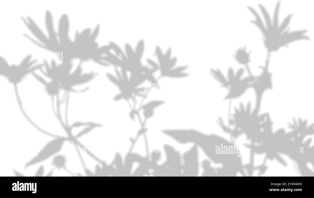 Shade photos Black and White Stock Photos & Images - Alamy