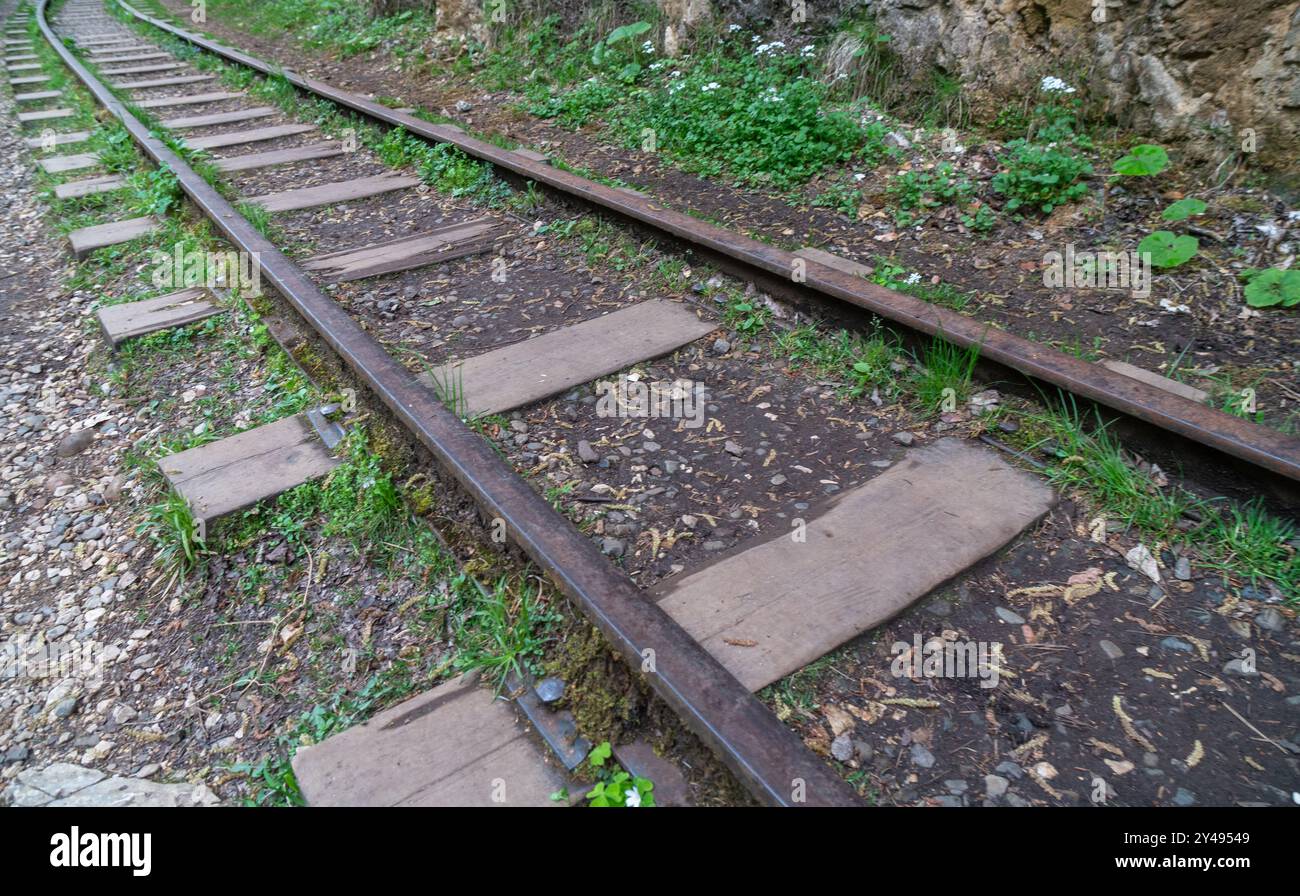 Railroad Tracks, Forest, Peru - Narrow Gauge Rails for Train Transportation in Lush Green ...