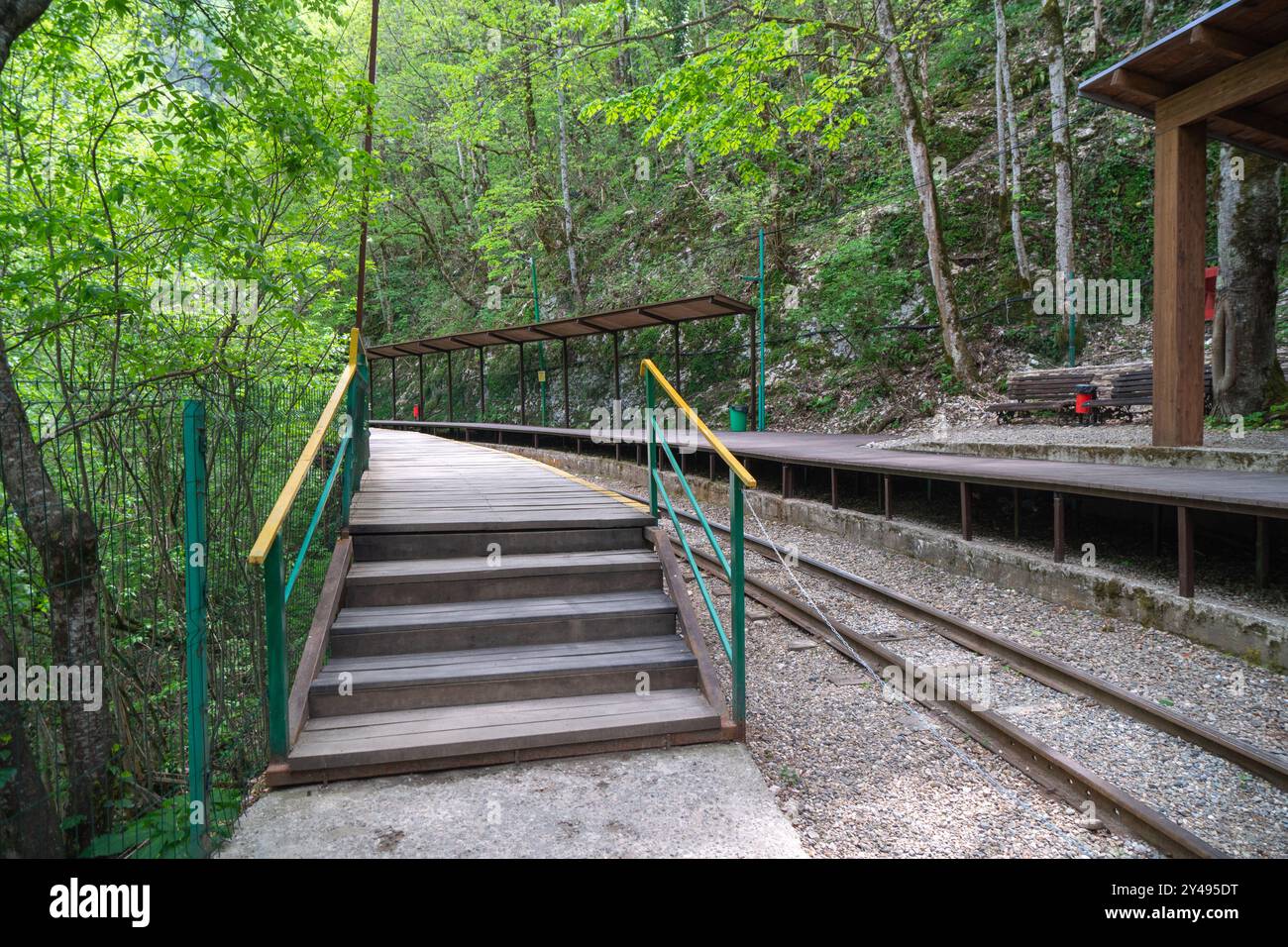 Railway, Steps, Forest - Wooden platform with steps leading to a ...