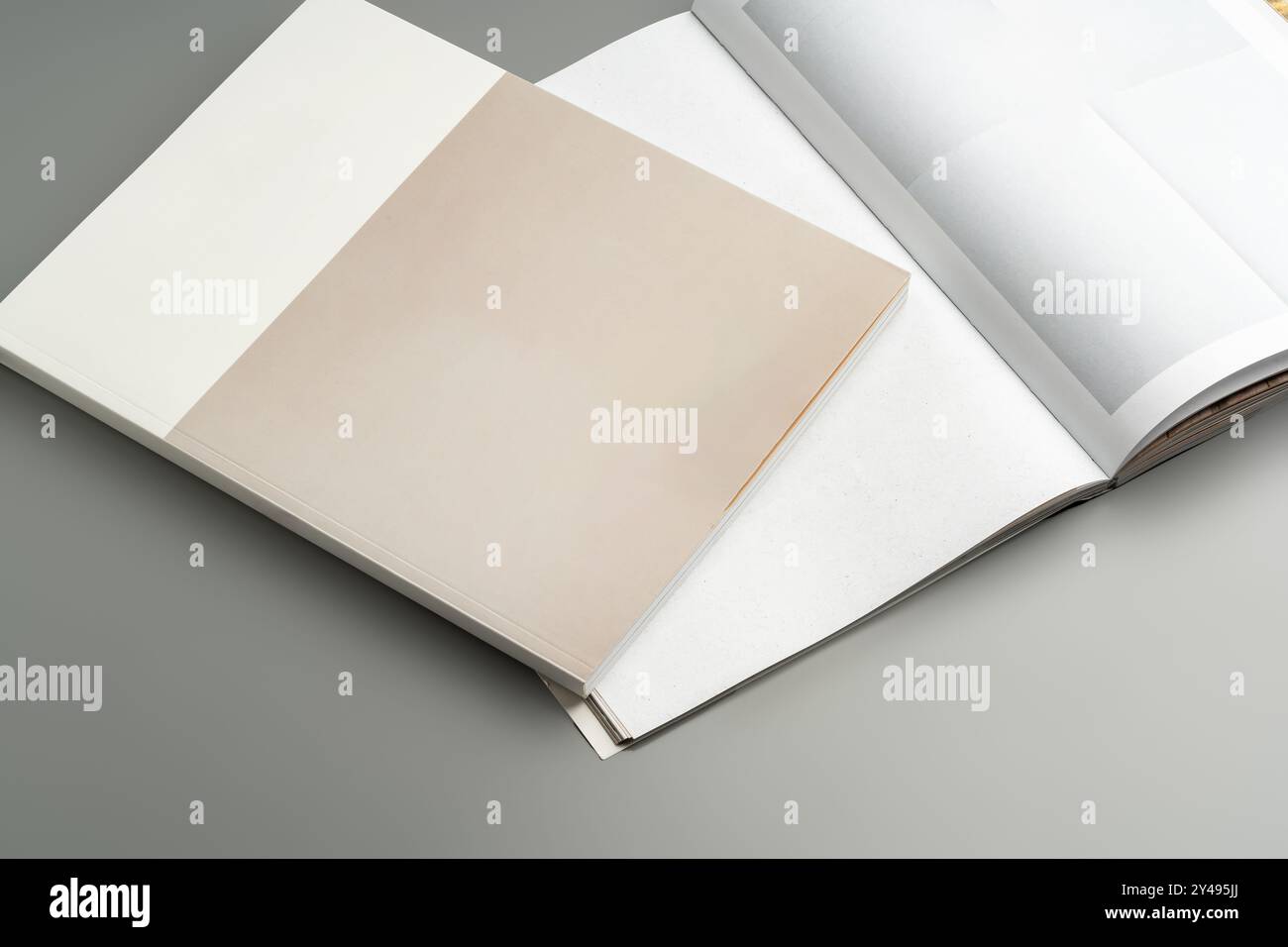 Various color swatches neatly arranged on a gray surface showcasing ...