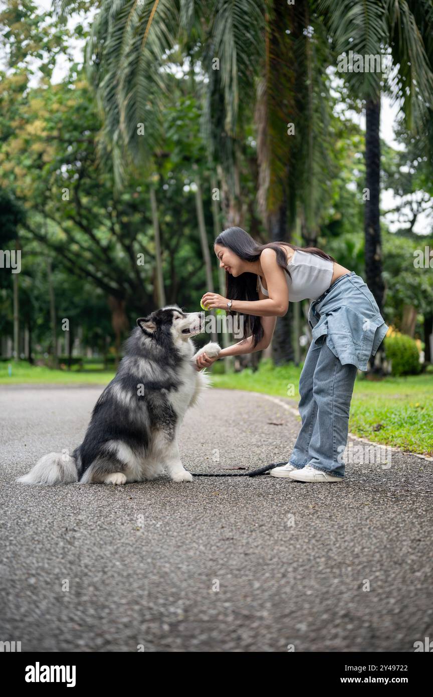 A positive Asian female dog owner is training her dog to give a ...