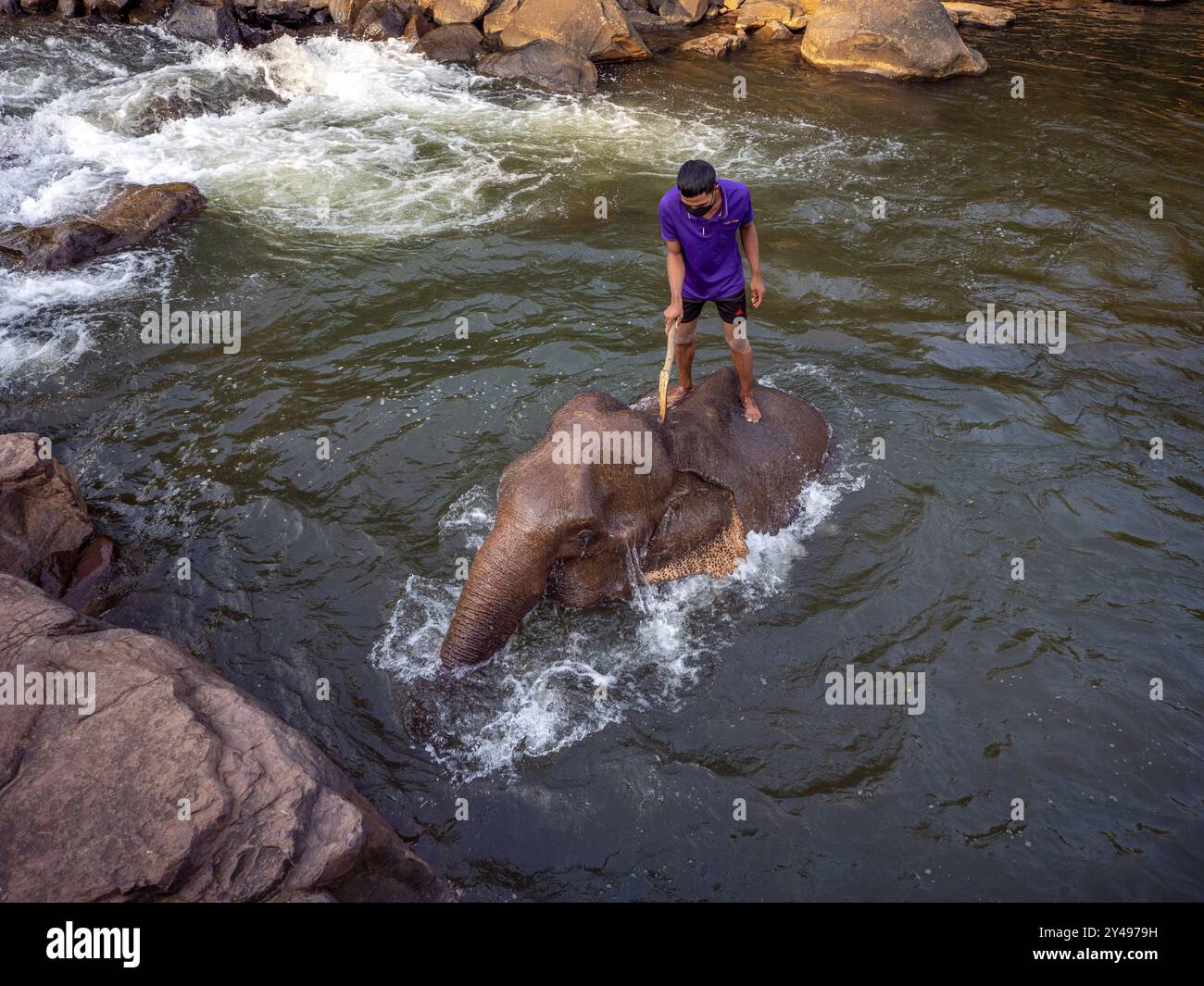 LAOS, CHAMPASAK PROVINCE, CHAMPASAK, BOLOVEN PLATEAU, ELEPHANT OF THE ...