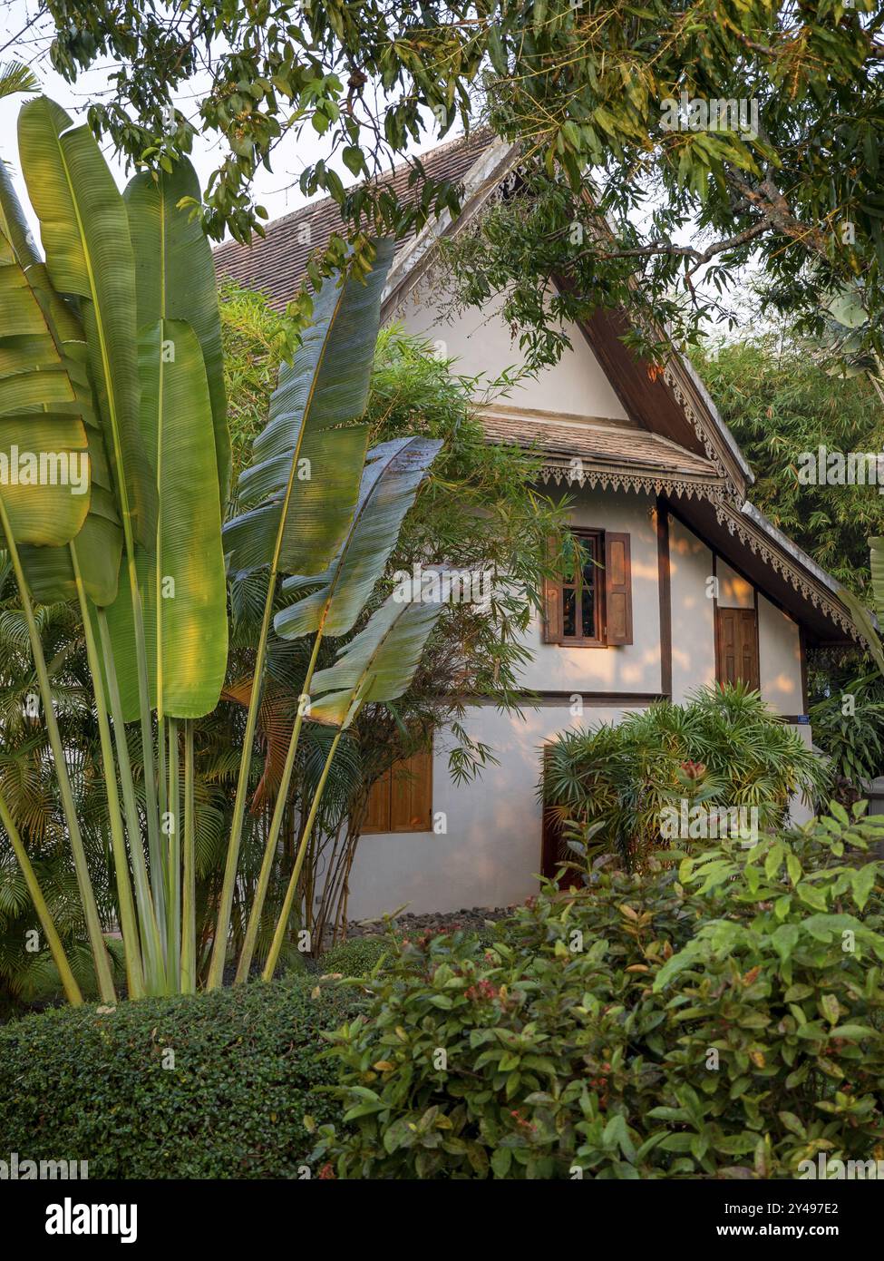 LAOS, LUANG PRABANG, TRADITIONAL HOUSE, TRAVELER'S TREE Stock Photo - Alamy