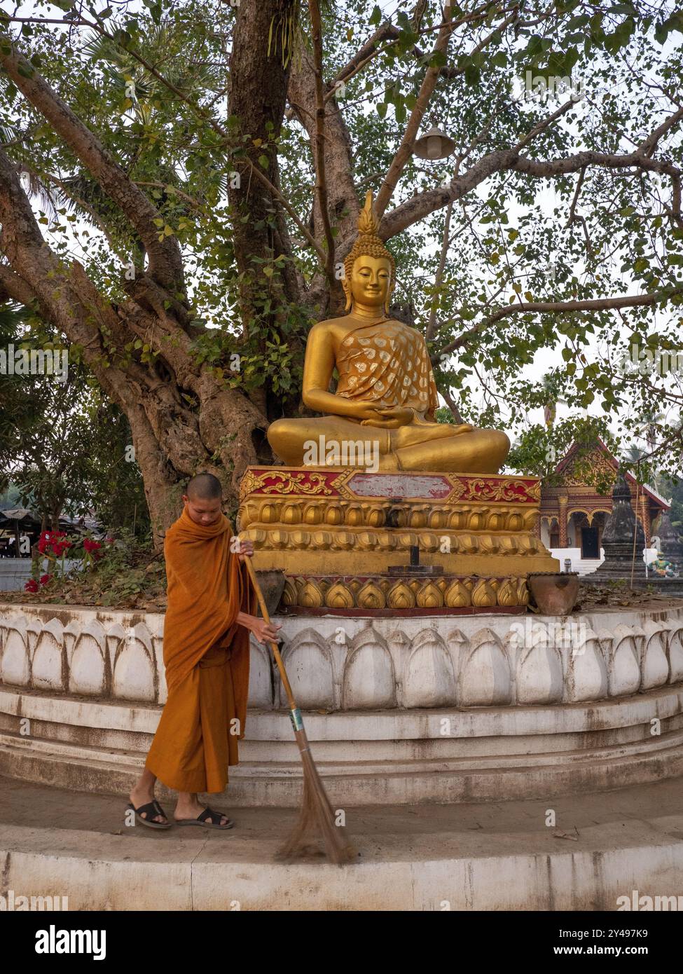 LAOS, LUANG PRABANG, MONK SWEEPING IN THE PARK OF THAT MAKMO Stock ...