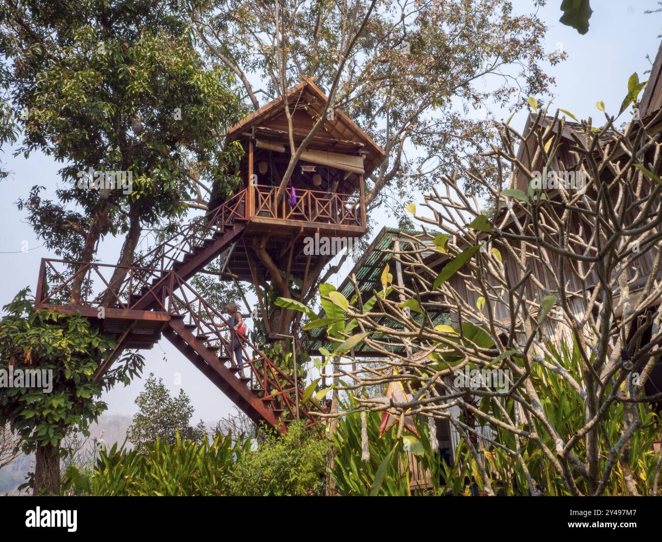 LAOS, LUANG PRABANG, GARDEN OF THE OCK POP TOK WORKSHOP, TREEHOUSE ...