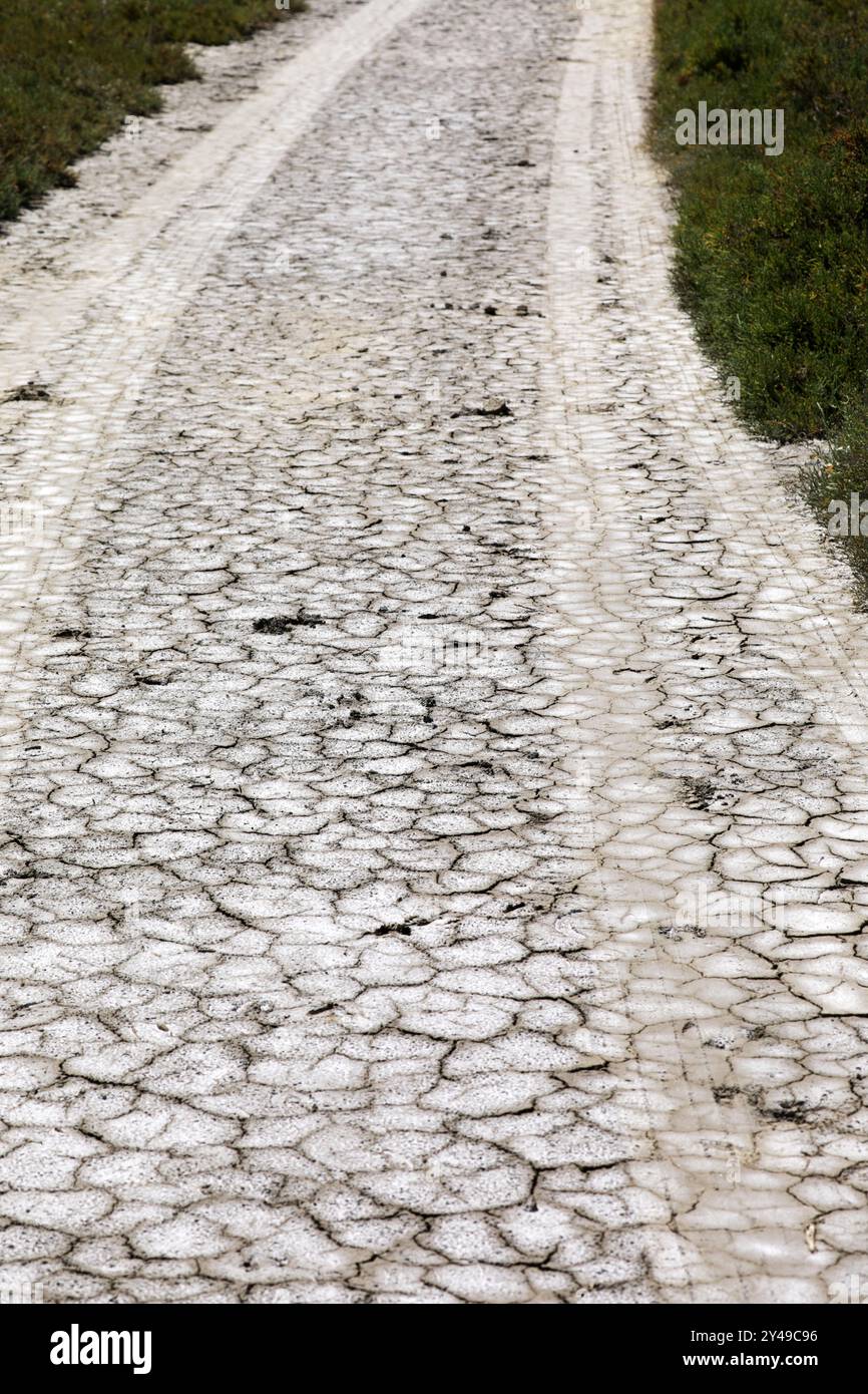 Dried out soil dryness drought Stock Photo - Alamy