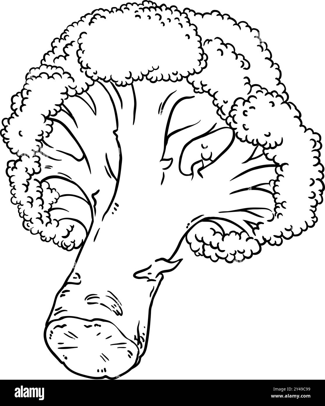 Broccoli Vegetable Isolated Outline Illustration Stock Vector Image ...