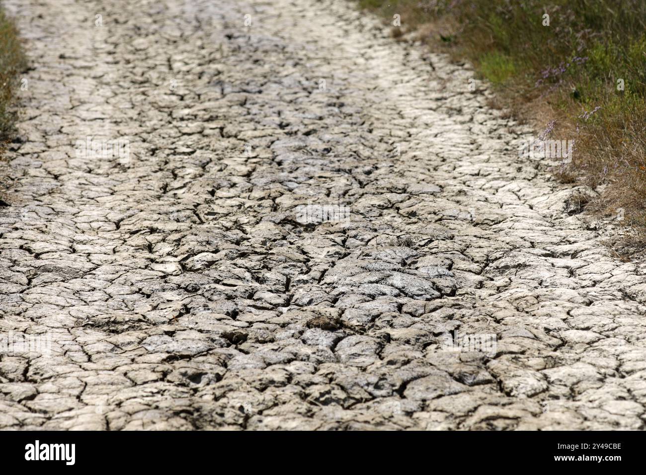 Dried out soil dryness drought Stock Photo - Alamy